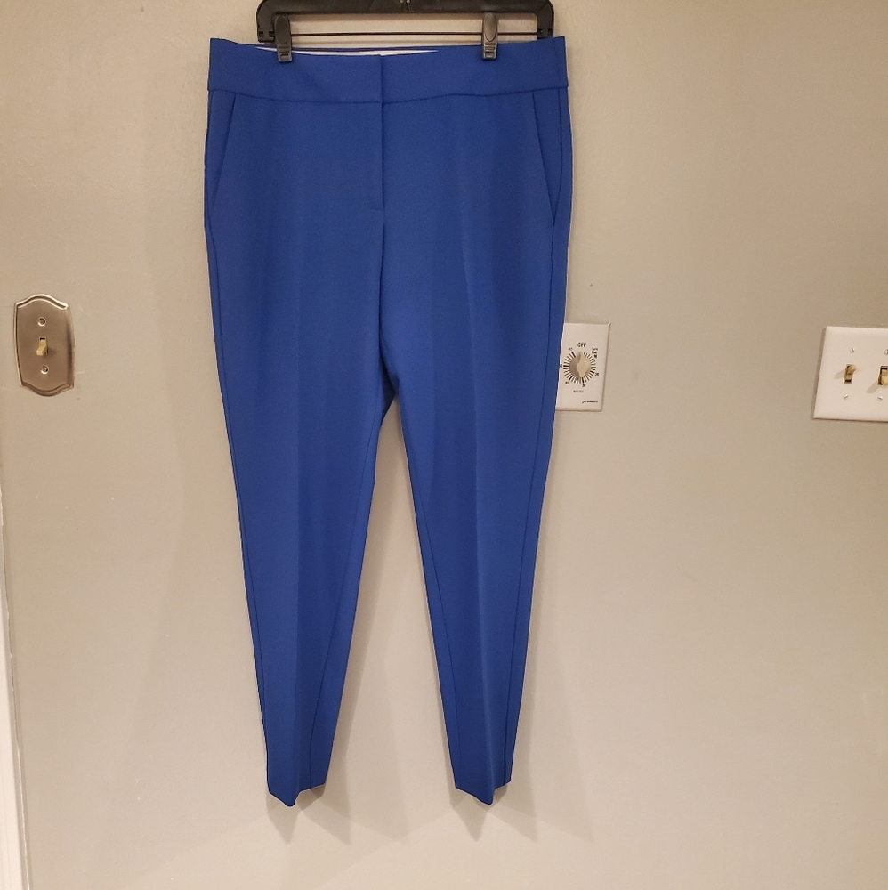 New Gorgeous Blue Pant From The Loft - Gem